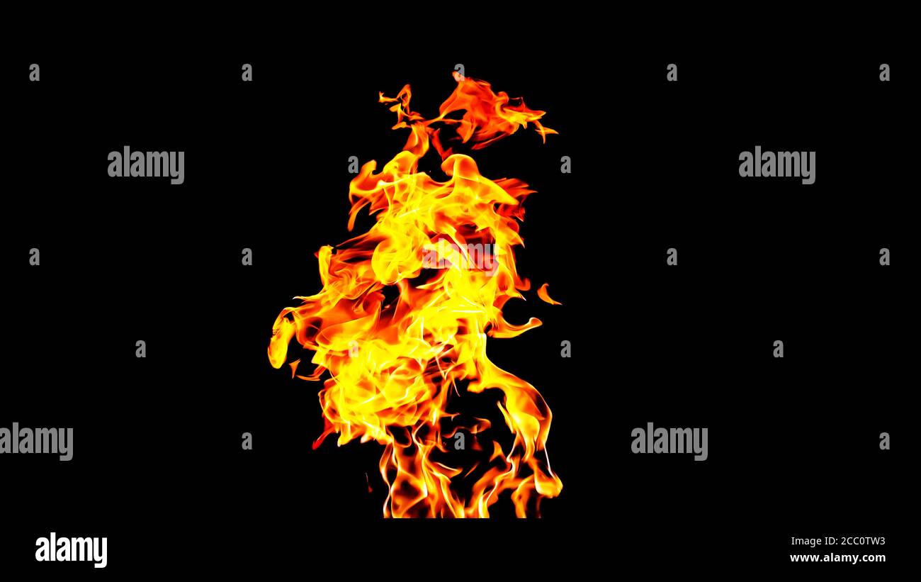 Fire flames on black background isolated. Burning gas or gasoline burns ...