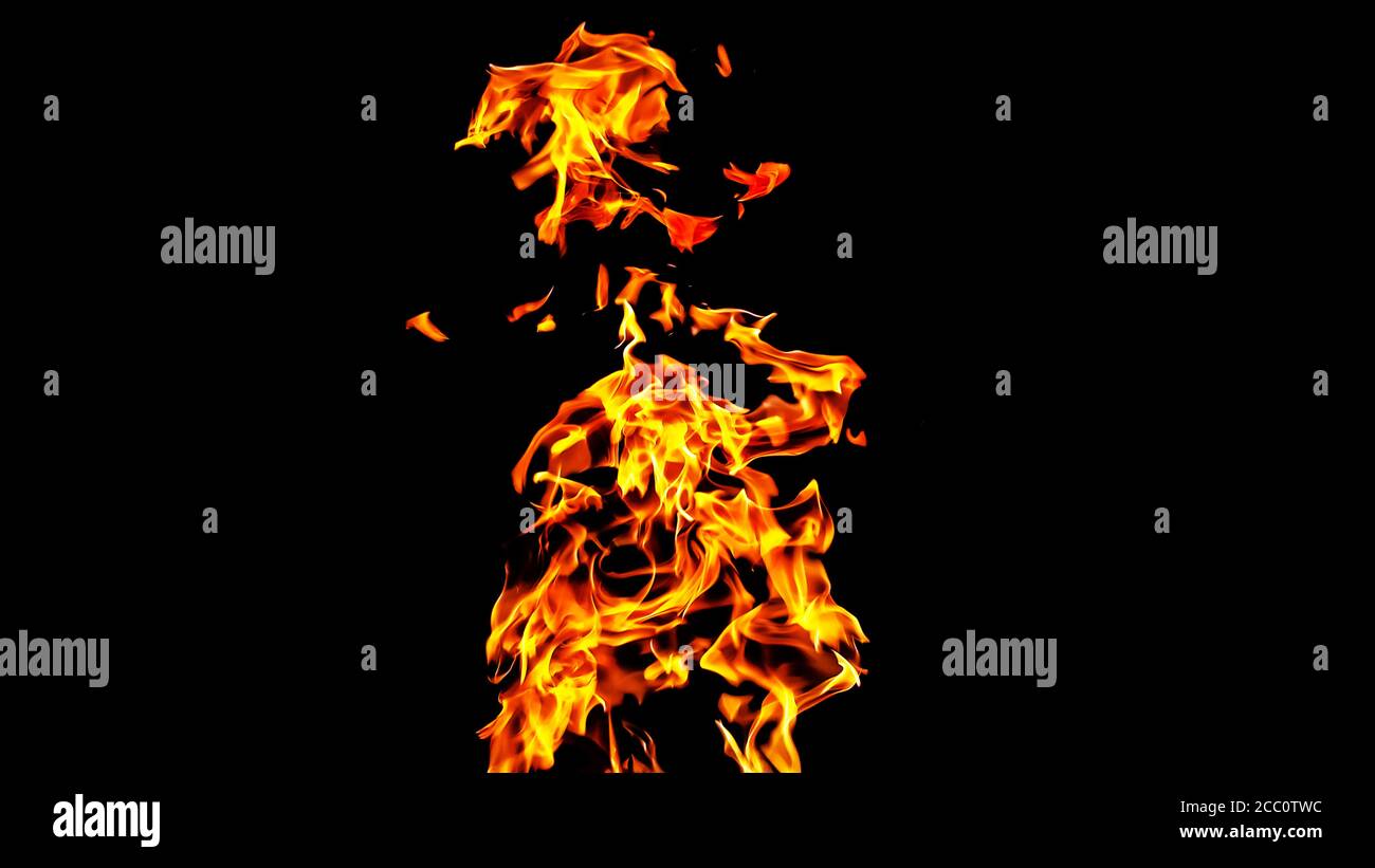 Fire flames on black background isolated. Burning gas or gasoline burns ...