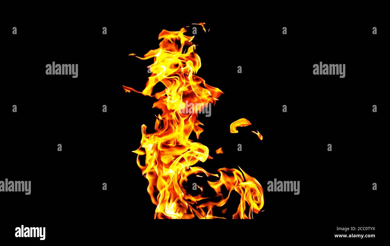 Fire flames on black background isolated. Burning gas or gasoline burns ...