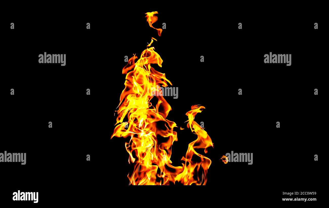 Fire flames on black background isolated. Burning gas or gasoline burns ...