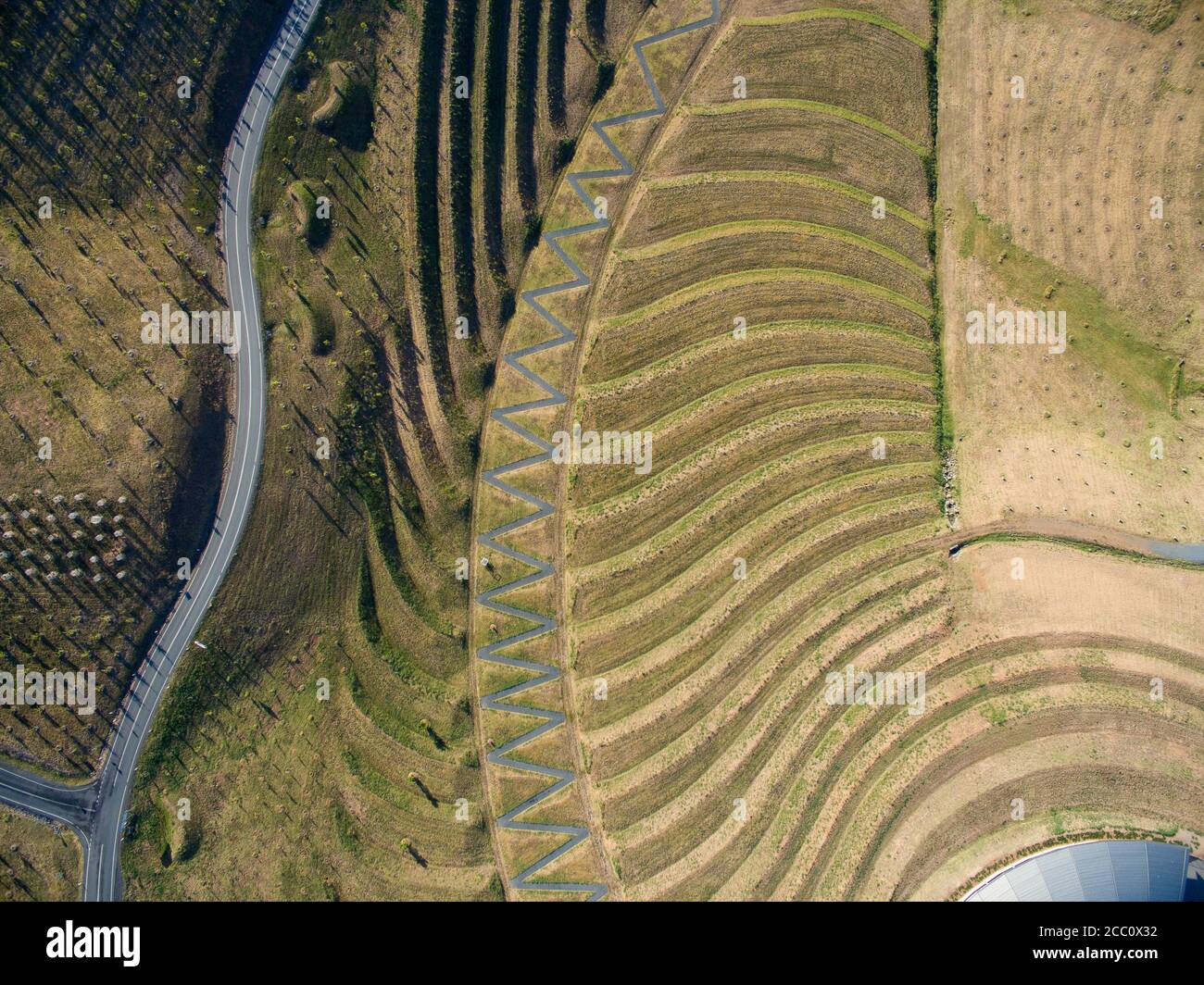 Patterns in the grass Stock Photo - Alamy