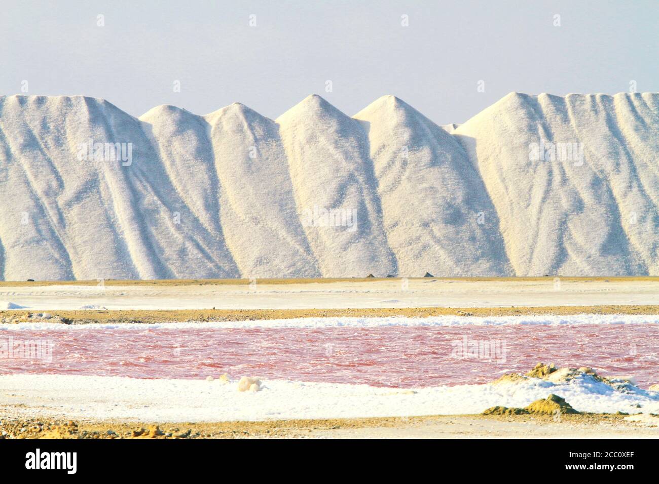 Bonaire salt pink hi-res stock photography and images - Alamy