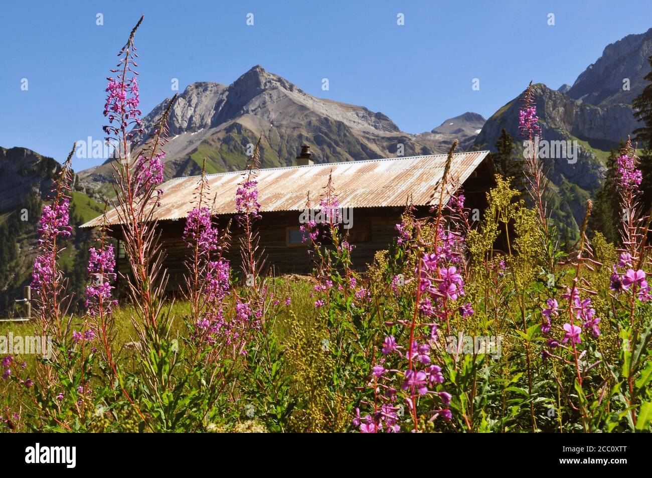 Switzerland simmental valley hi-res stock photography and images - Alamy