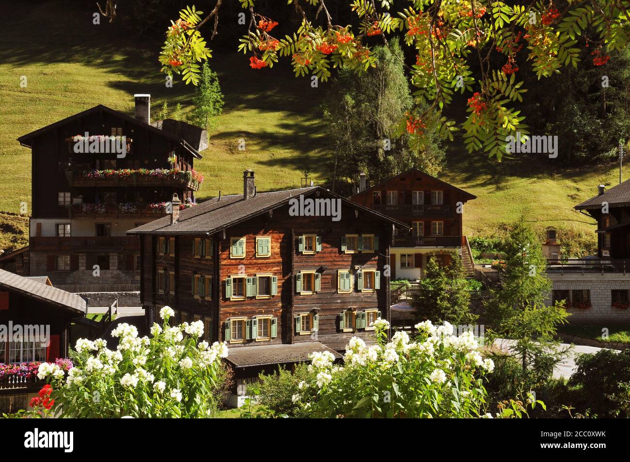 Switzerland, Valais canton, Binntal Valley, Binn village Stock Photo ...