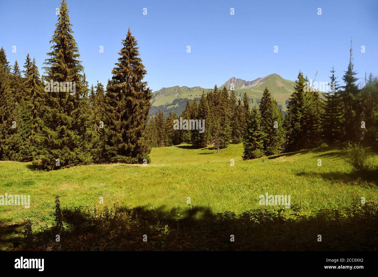 Simmental valley hi-res stock photography and images - Alamy