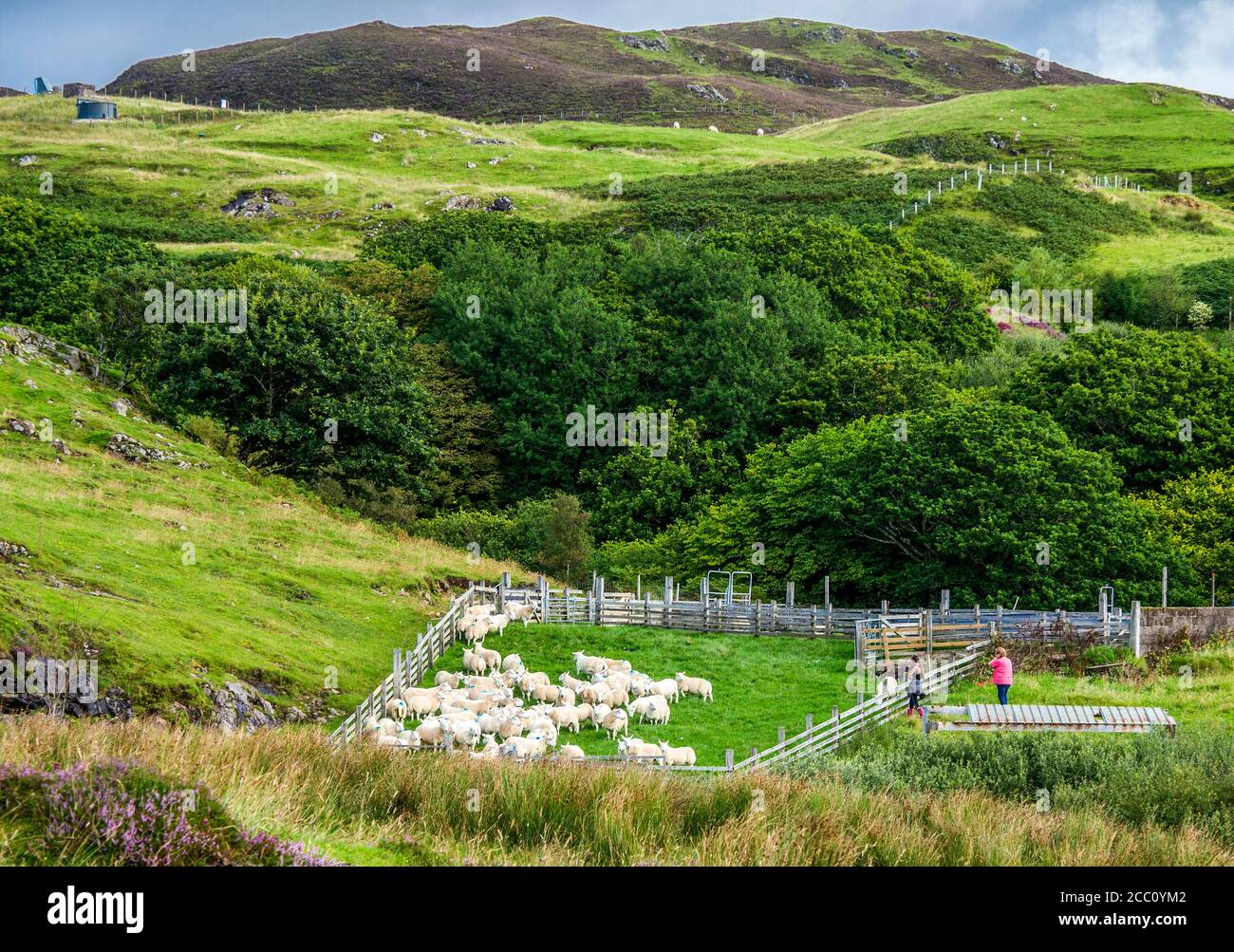 Europe, Great Britain, Scotland, Hebrides, south-east of the Isle of ...