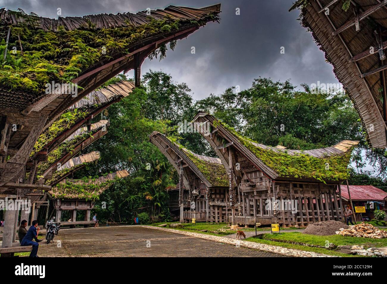 Kete'kesu, traditional Toraja village, Tona Toraja, South Sulawesi ...