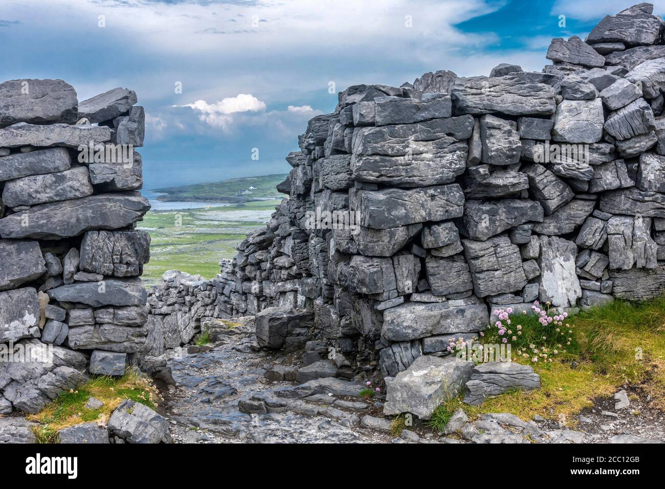 Europe, Republic of Ireland, County Galway, Aran Islands, Inishmore ...