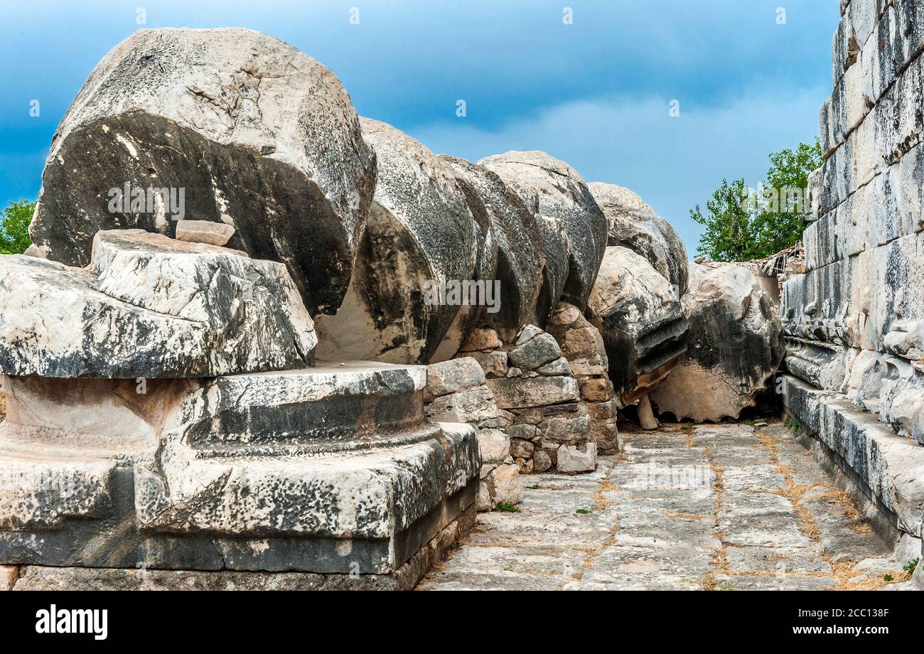 Turkey, archeological Dydimes archeological site, ruins of an ...