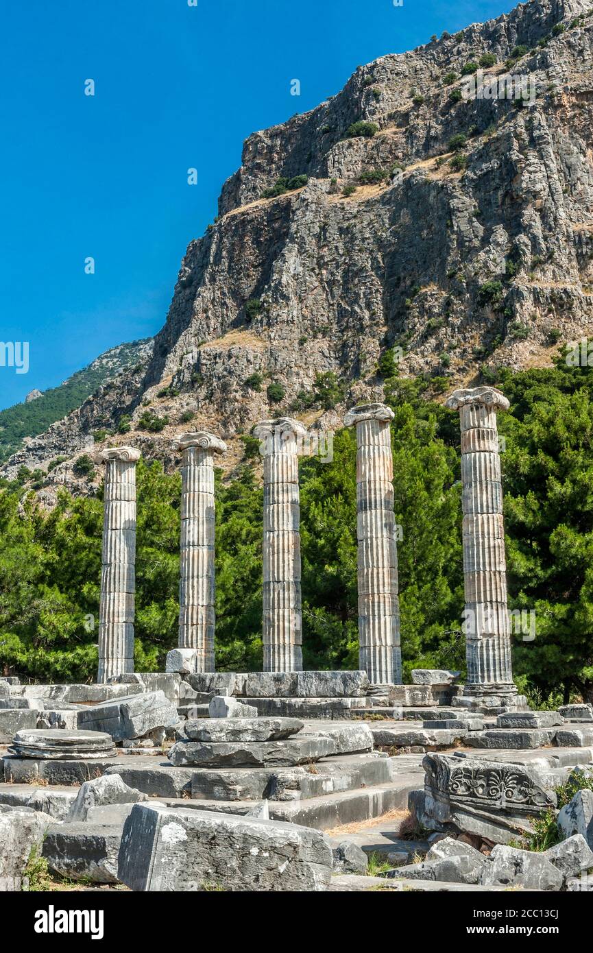 Turkey, Ionia, Priene Greek city, columns of the temple of Athena (350 ...