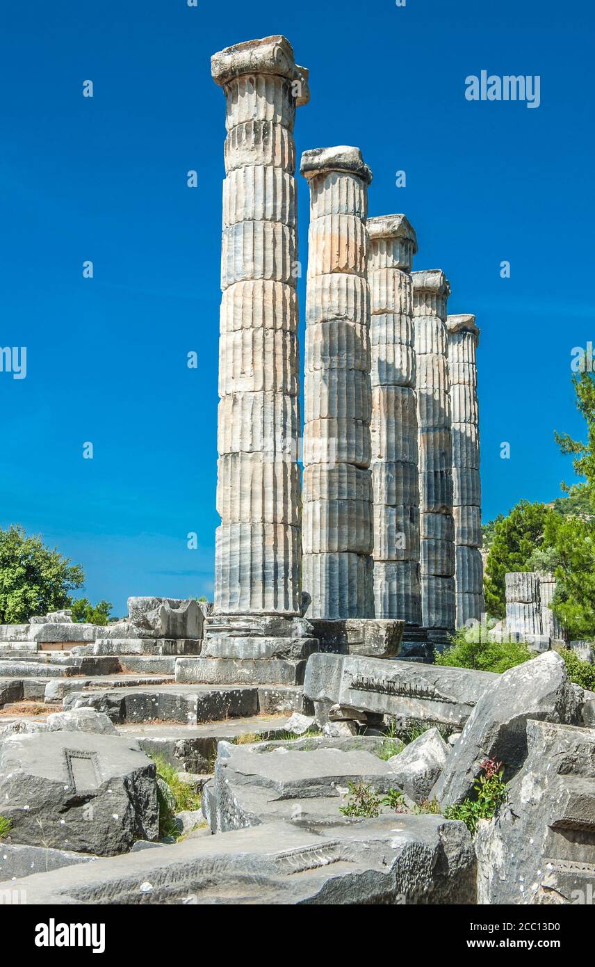 Turkey, Ionia, Priene Greek city, columns of the temple of Athena (350 ...