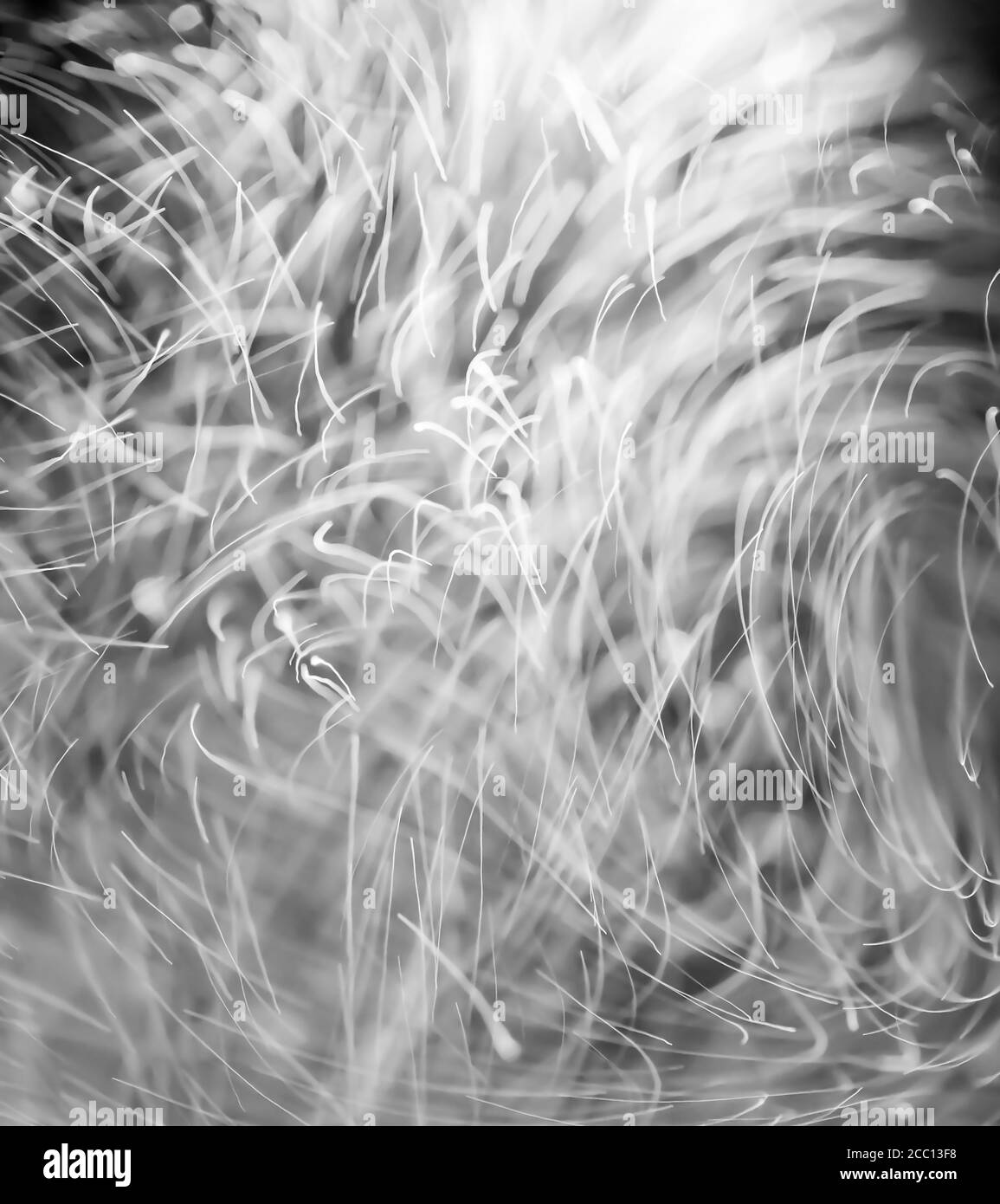 Prints for sale hi-res stock photography and images - Alamy