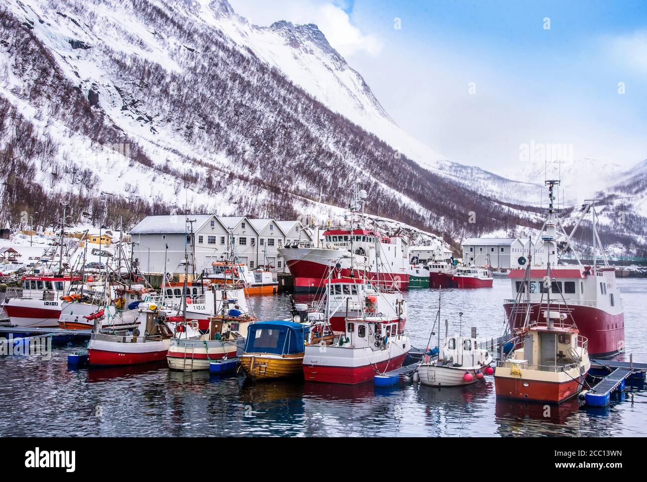 Norway, Tromso County, Senja Island, Fjordgard, Husoy cod port Stock ...