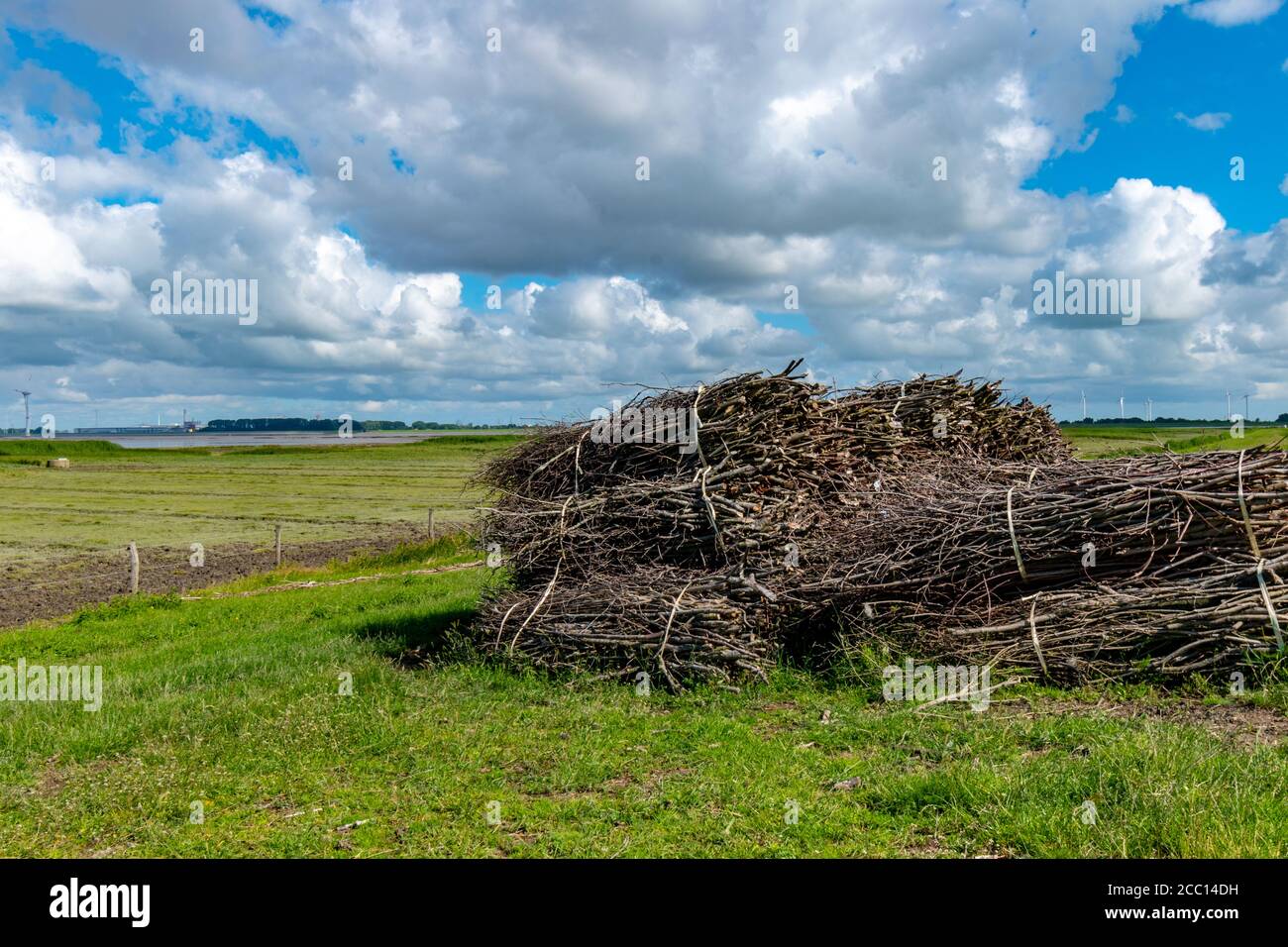 Bundles of branches hi-res stock photography and images - Alamy