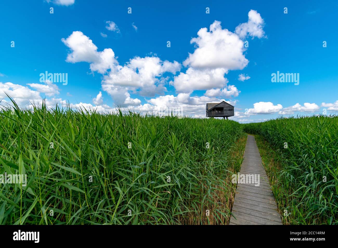 Low angle shot of a path leading to a small house in grassland o a ...