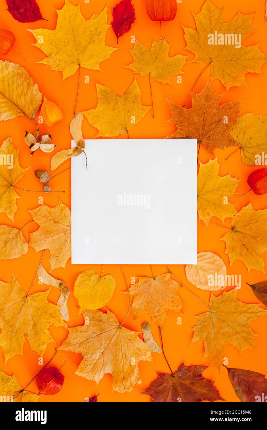 Autumn flat lay composition with postcard mockup and dry leaves on bold ...