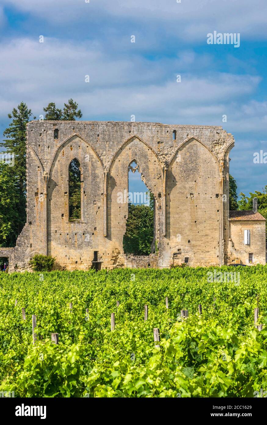 France, Gironde, Saint Emilion (UNESCO World Heritage), the Grandes ...