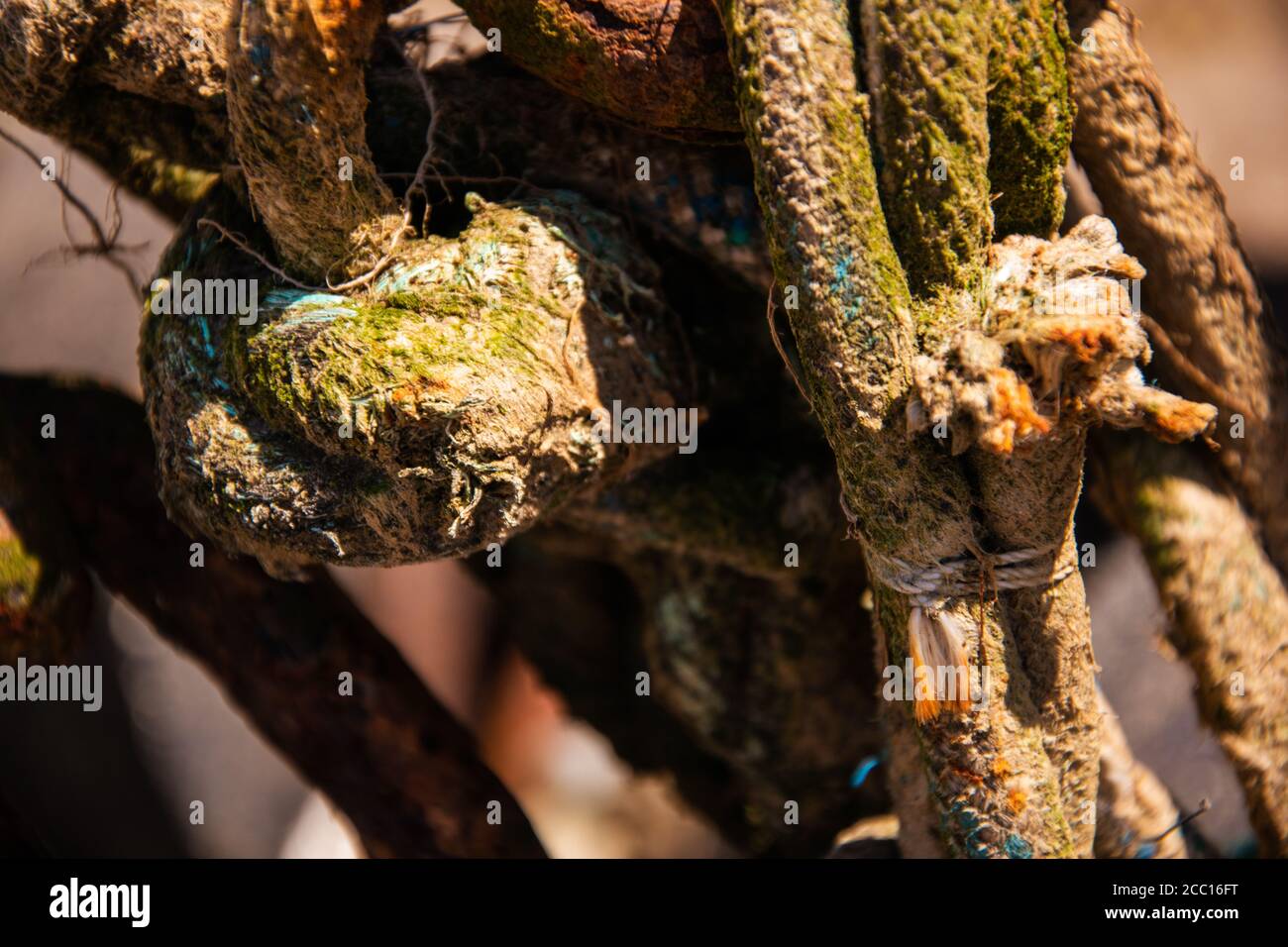 Worn out rope hi-res stock photography and images - Alamy