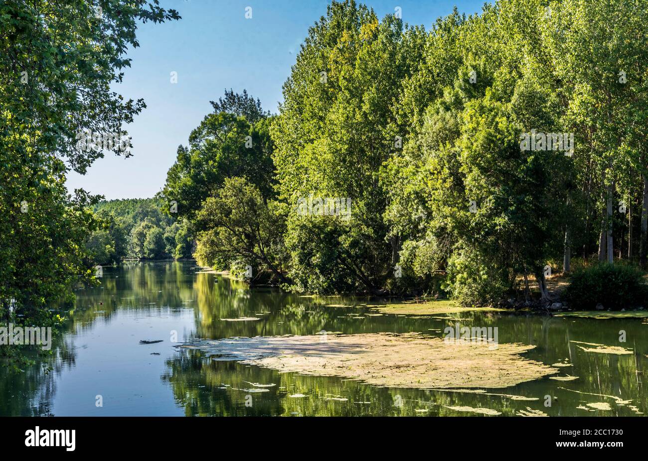 Ruan center hi-res stock photography and images - Alamy