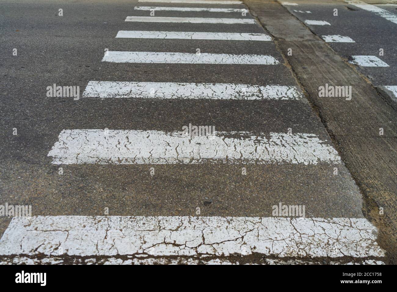 Empty pedestrian crossing, crosswalk on the road isolated Stock Photo ...