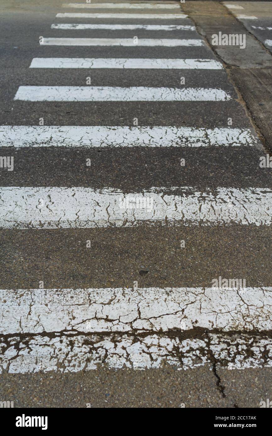 Empty pedestrian crossing, crosswalk on the road isolated Stock Photo ...