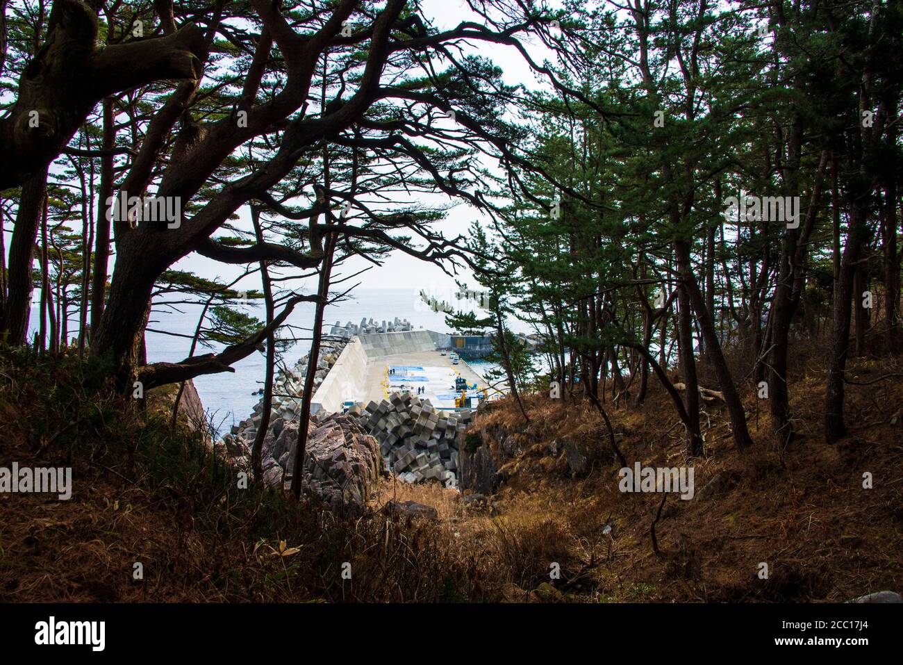 The Rikuchu-Yagi embankment. Along the Michinoku Coastal Trail, Tohoku ...