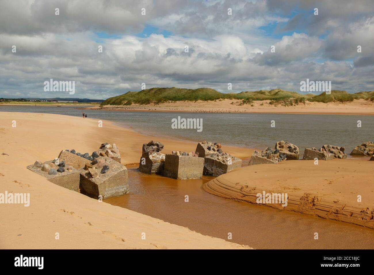 Newburgh Beach in Aberdeenshire, popular with visitors who come to see ...