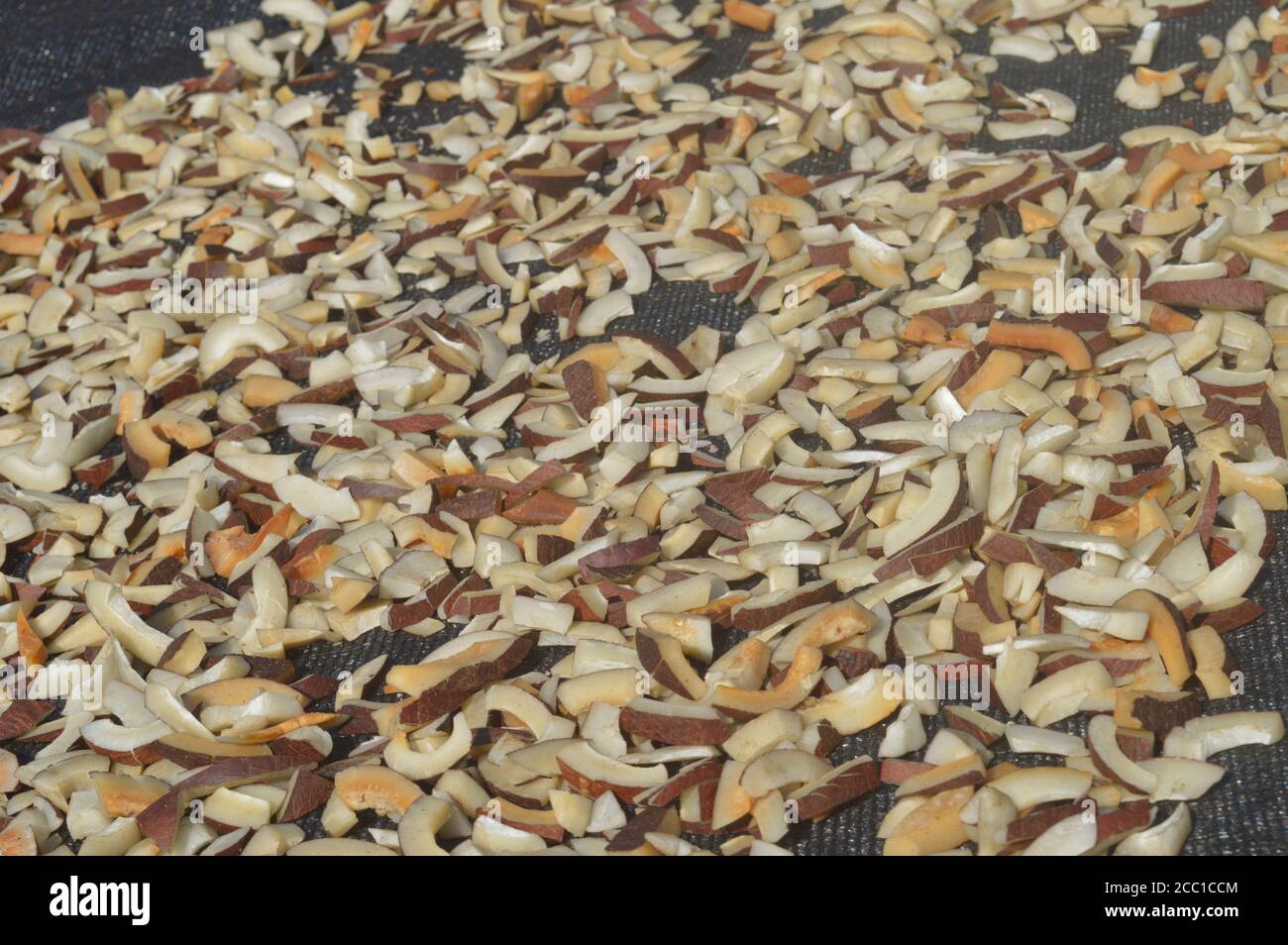 Copra drying hi-res stock photography and images - Alamy