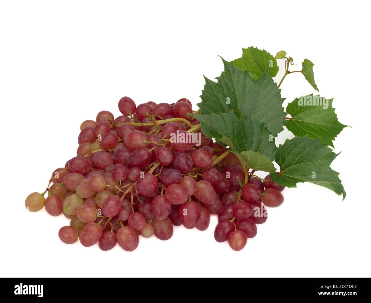 Autumn grapes leaves Cut Out Stock Images & Pictures - Alamy