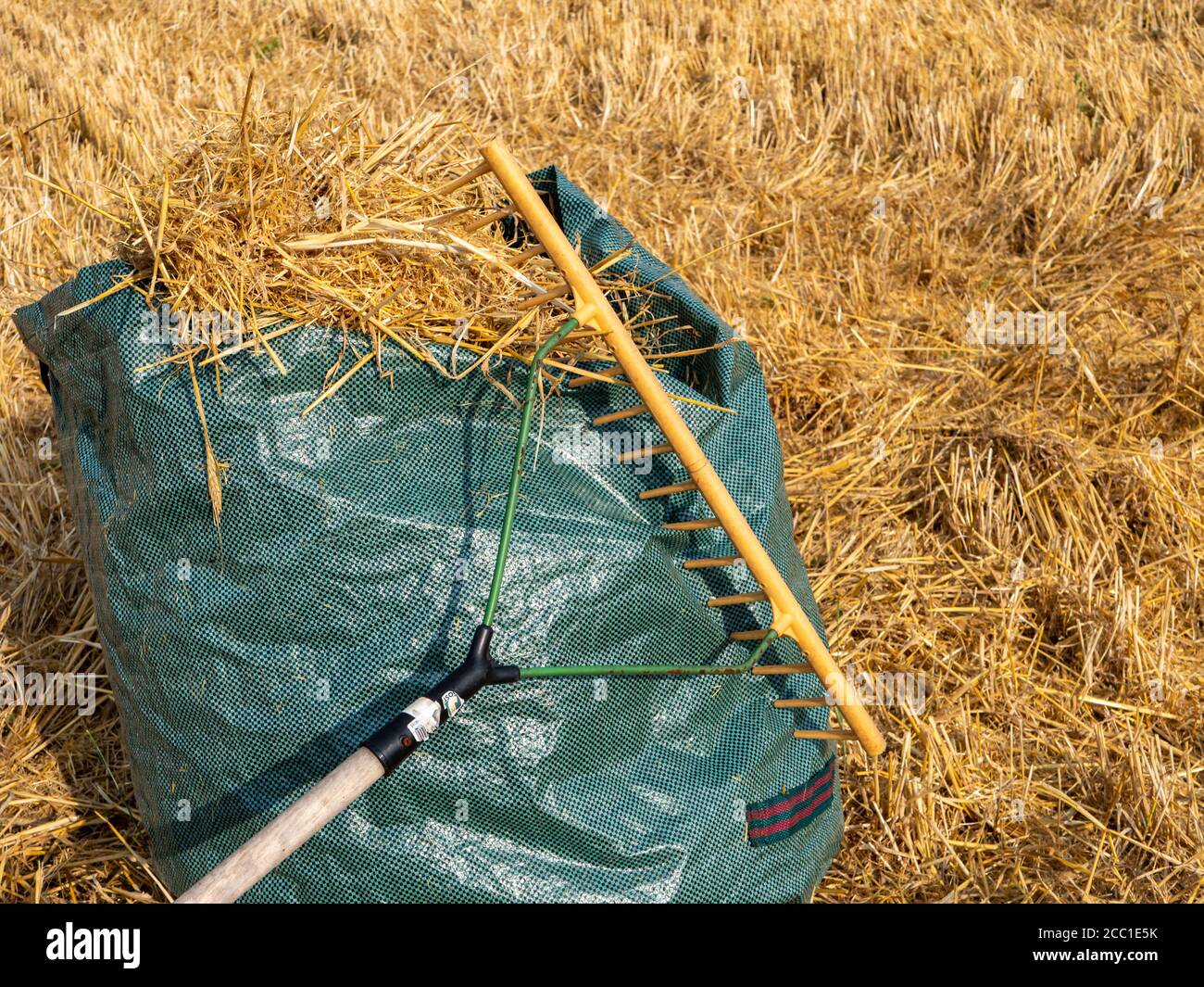 straw harvest in the field Stock Photo - Alamy