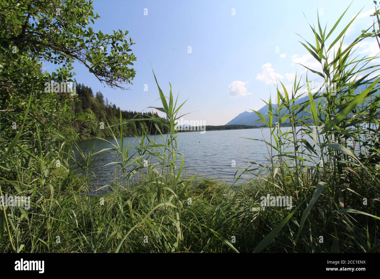 See barm hi-res stock photography and images - Alamy