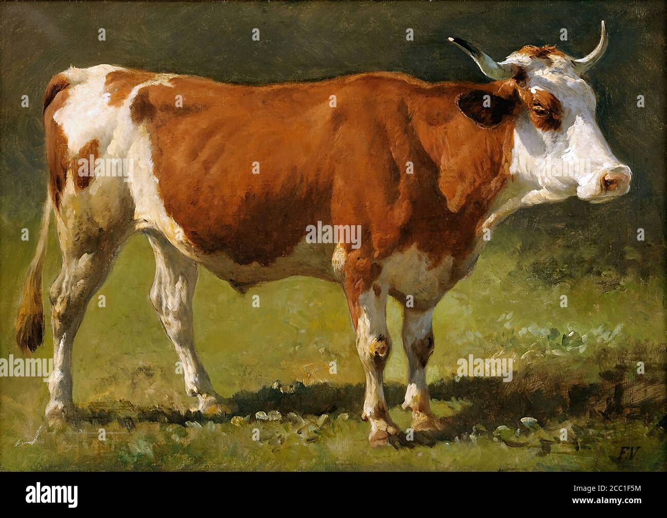 Voltz Friedrich - an Ox - German School - 19th and Early 20th Century ...