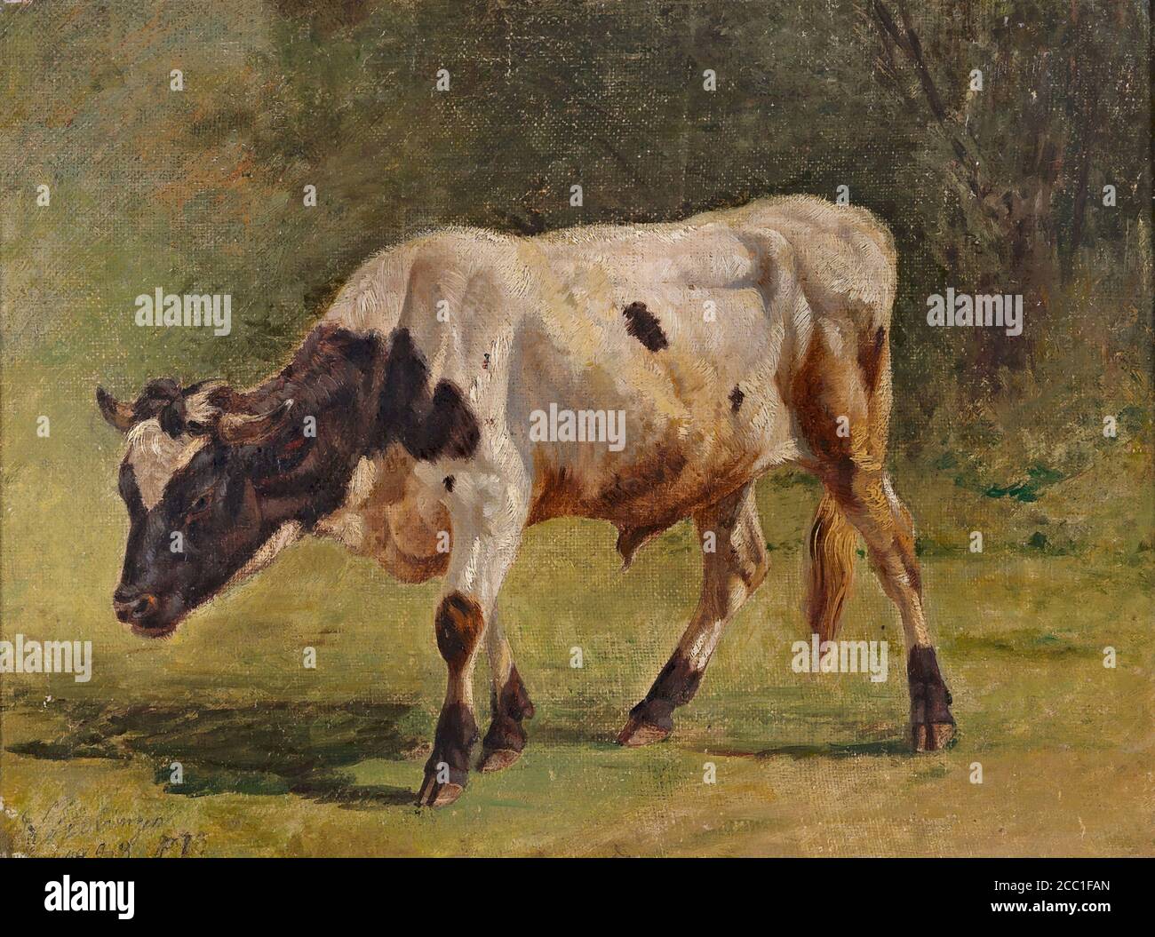 Voltz Friedrich - Stier - German School - 19th and Early 20th Century ...