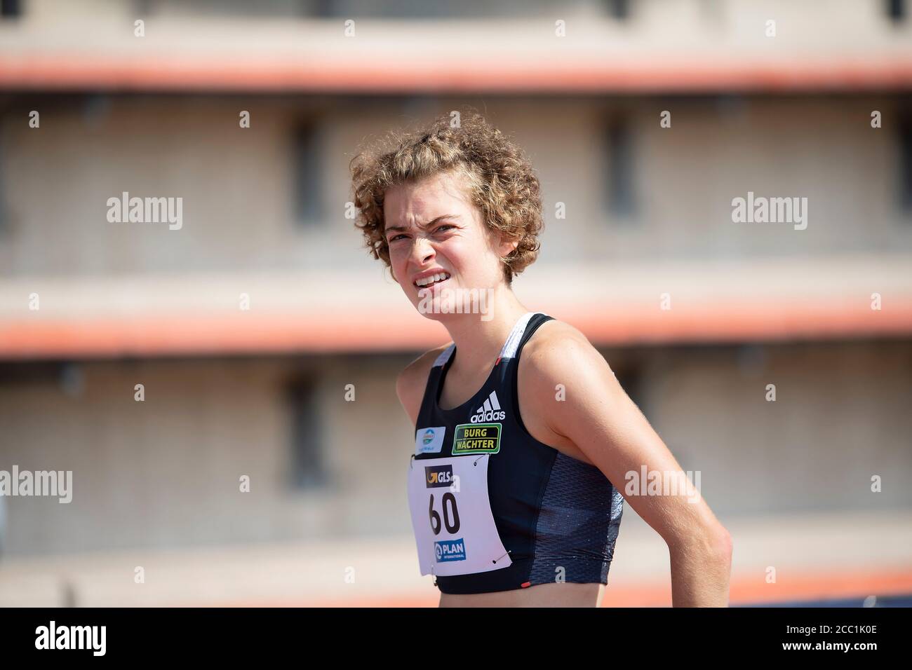 Reh head hi-res stock photography and images - Alamy