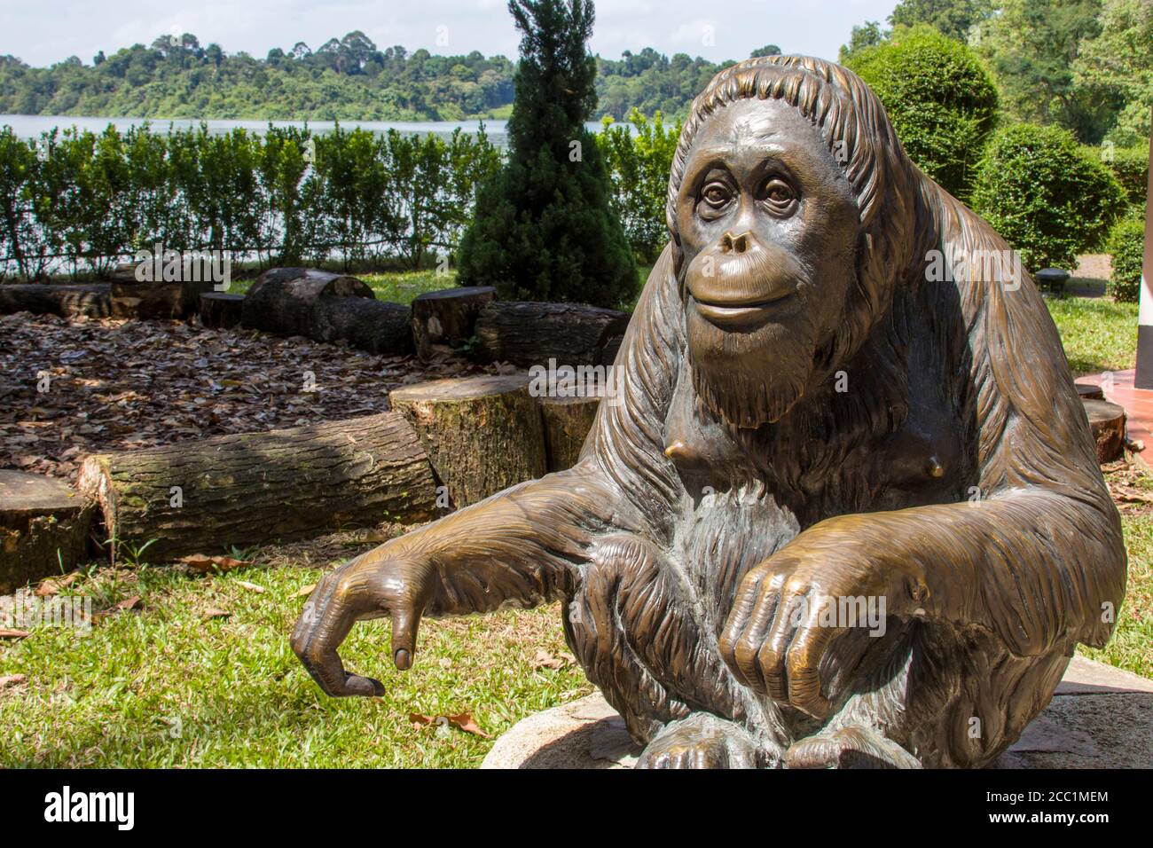 The bronze statue in memory of Ah Meng, a very famous female Sumatran orangutan (Pongo abelii ...