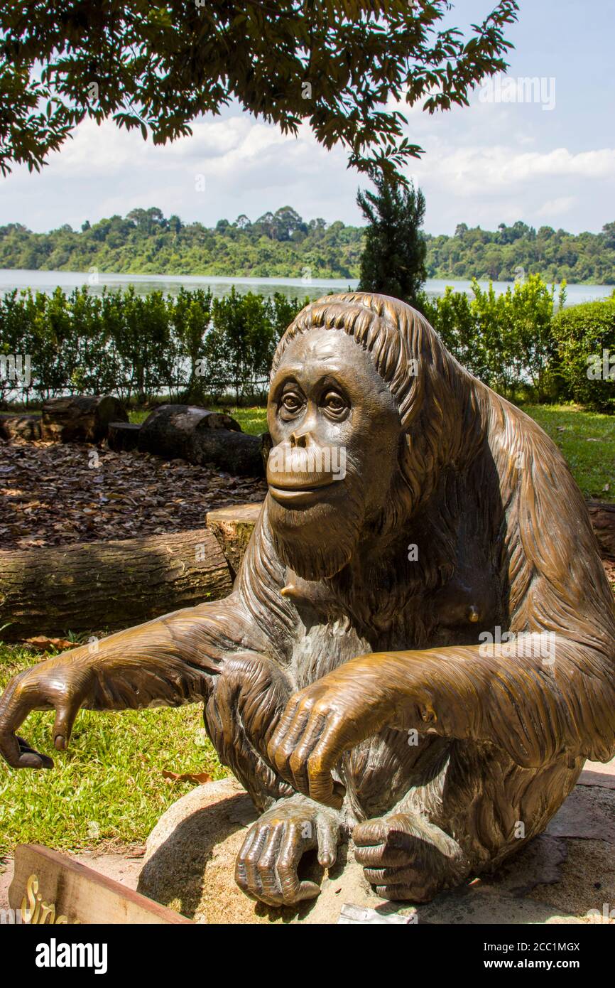 The bronze statue in memory of Ah Meng, a very famous female Sumatran ...