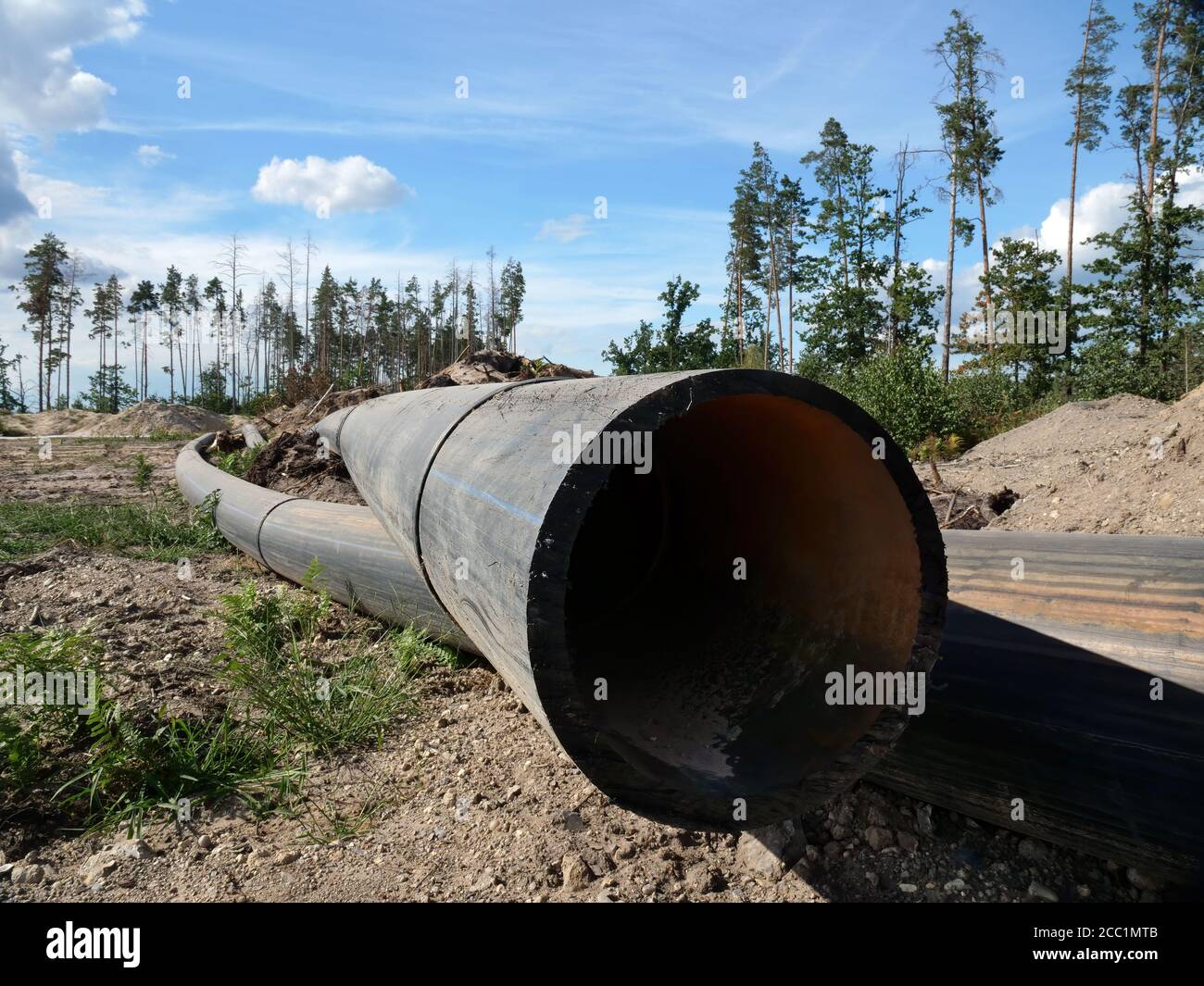 Environmental problems concept. Large pipes lay instead of felled wood ...
