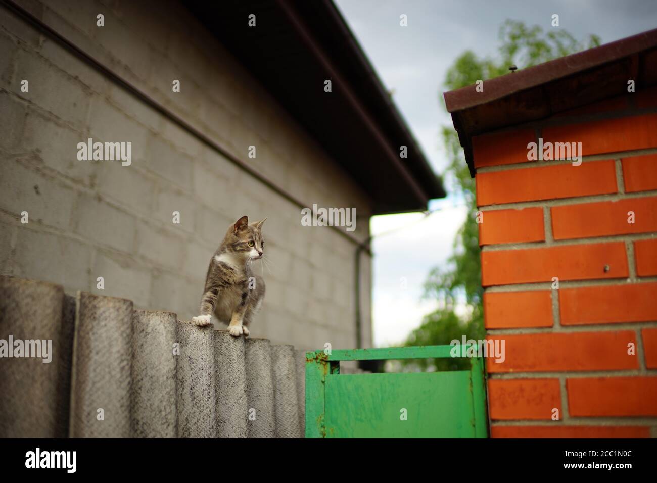 Old slate fence hi-res stock photography and images - Alamy