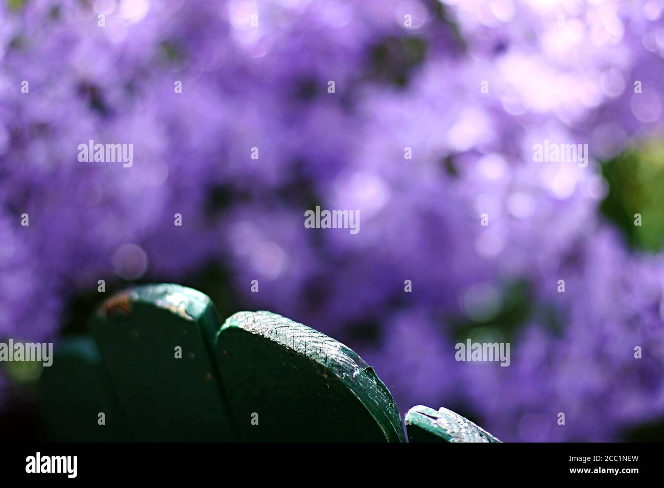 Irish cottage garden hi-res stock photography and images - Alamy