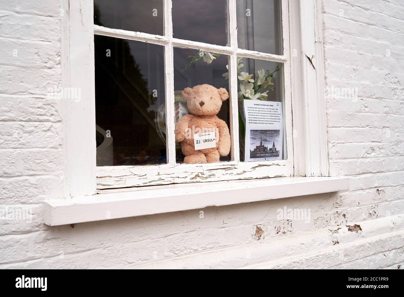 Teddy bear looking out of a window Stock Photo - Alamy