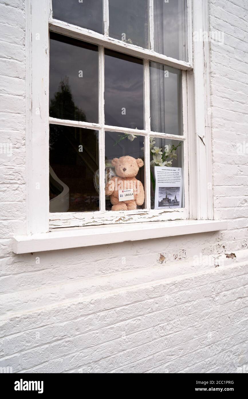 Bear looking out of window hi-res stock photography and images - Alamy