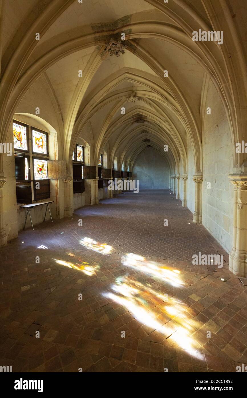 Medieval Library Interior