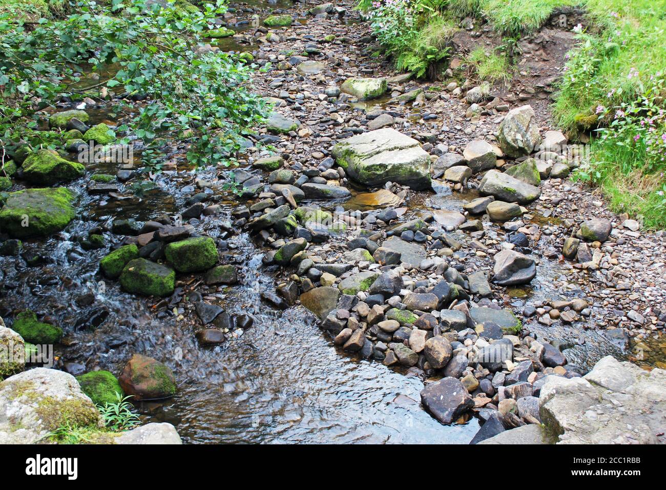 Stream into rock hi-res stock photography and images - Alamy