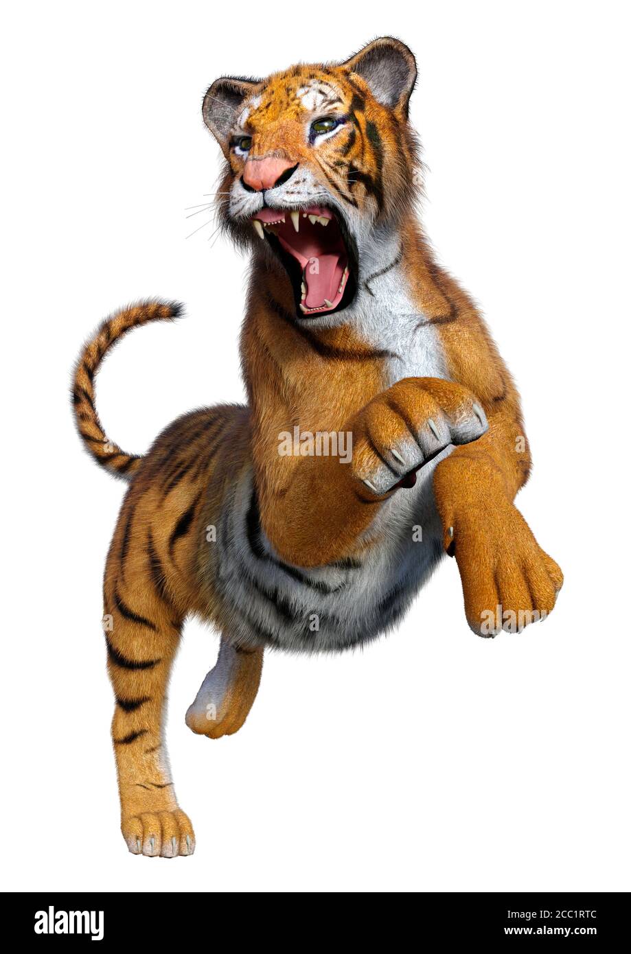 3D rendering of a big cat tiger isolated on white background Stock ...