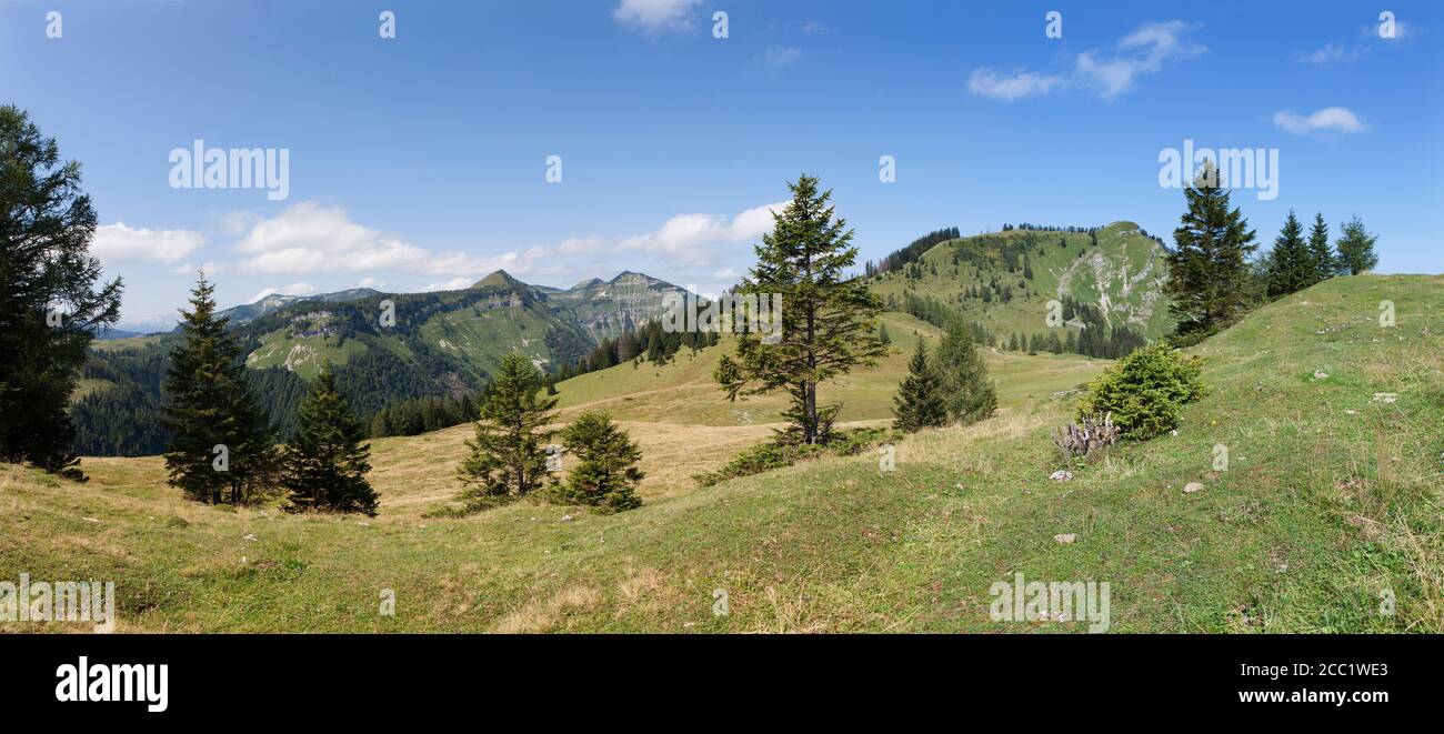 Austria, View of alp pasture with Osterhorngruppe mountain at Postalm ...