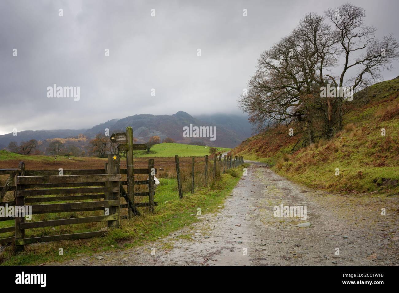 The lane from Elterwater to Little Langdale looking towards Low Fell ...