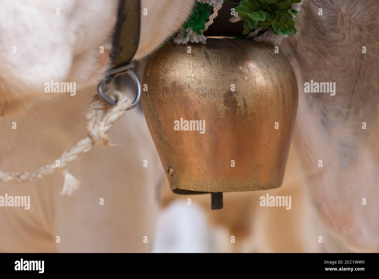 Cow bell hi-res stock photography and images - Alamy