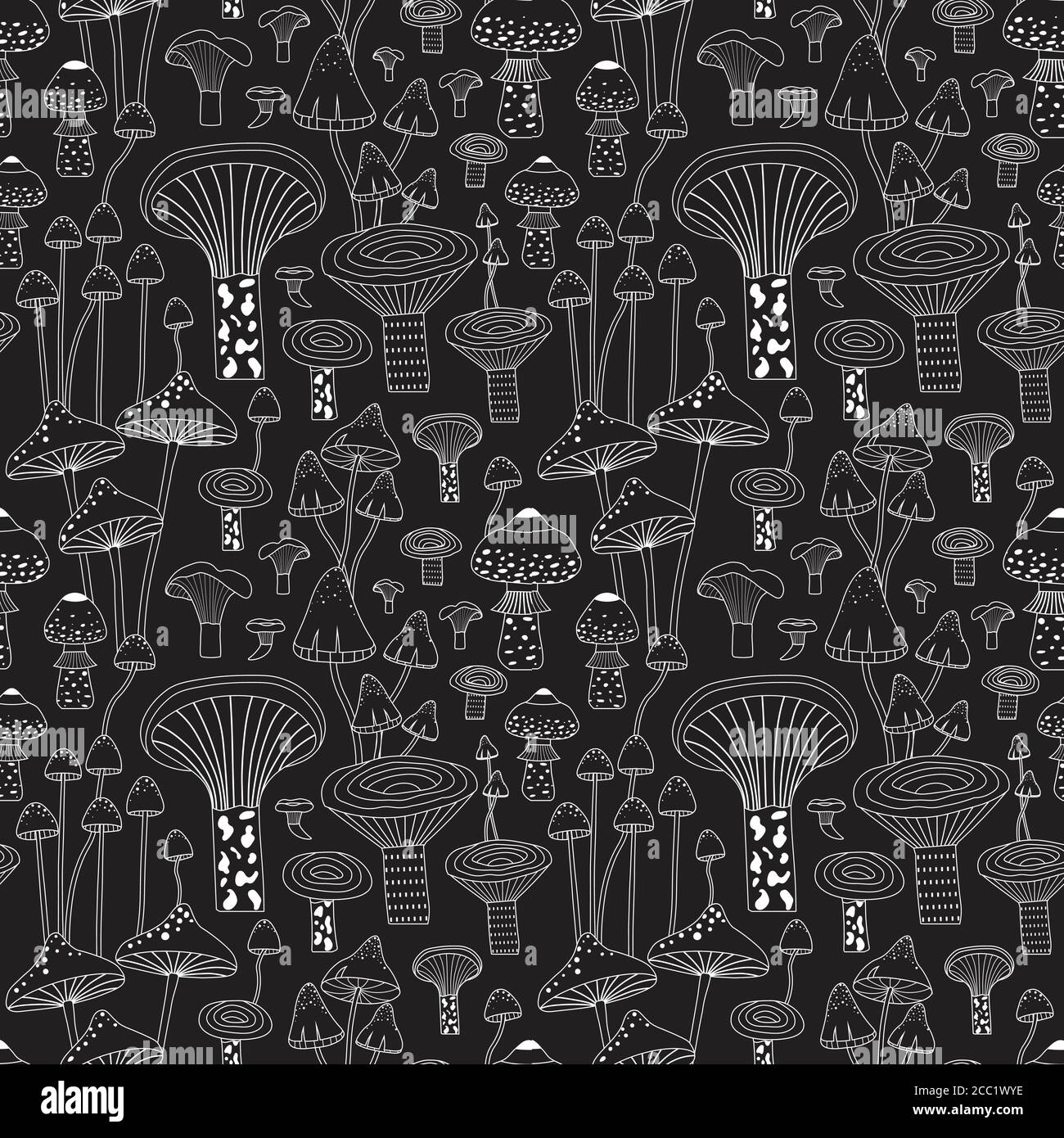 Fungi mushrooms botanical illustration Stock Vector Images - Alamy