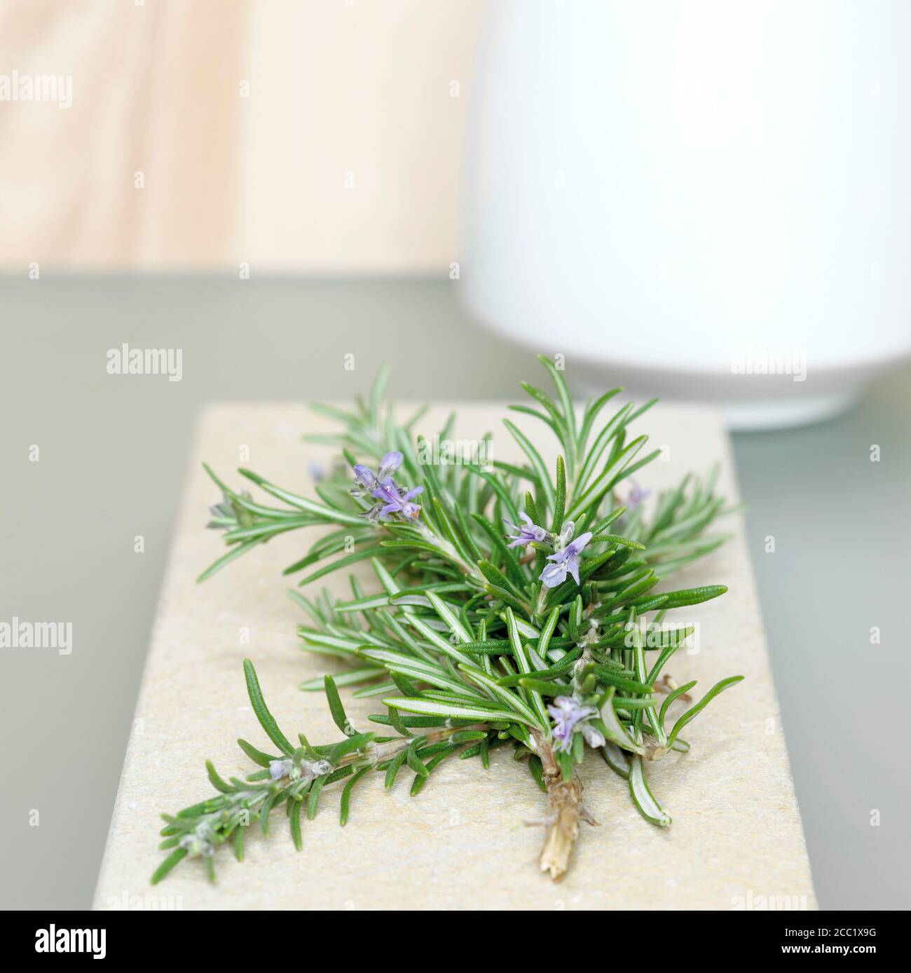 Rosemary sprig rosmarinus officinalis hi-res stock photography and ...