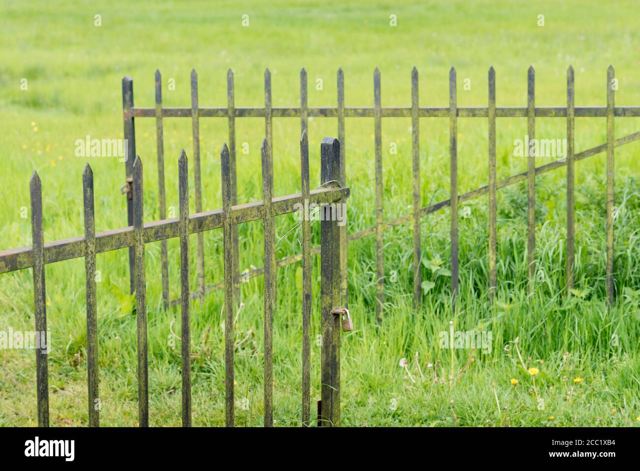 Grass in fence hi-res stock photography and images - Alamy